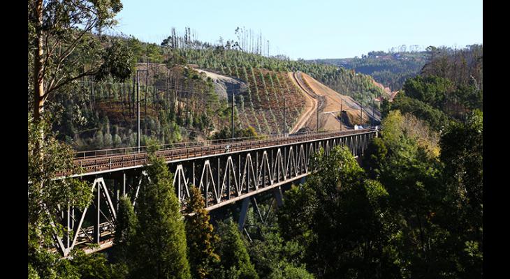 Modernização da Linha da Beira Alta | Infraestruturas de Portugal